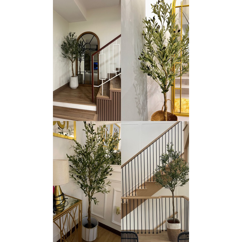 Pokok Viral-artificial Premium Olive Tree & Eucalyptus Tree PLANT ...