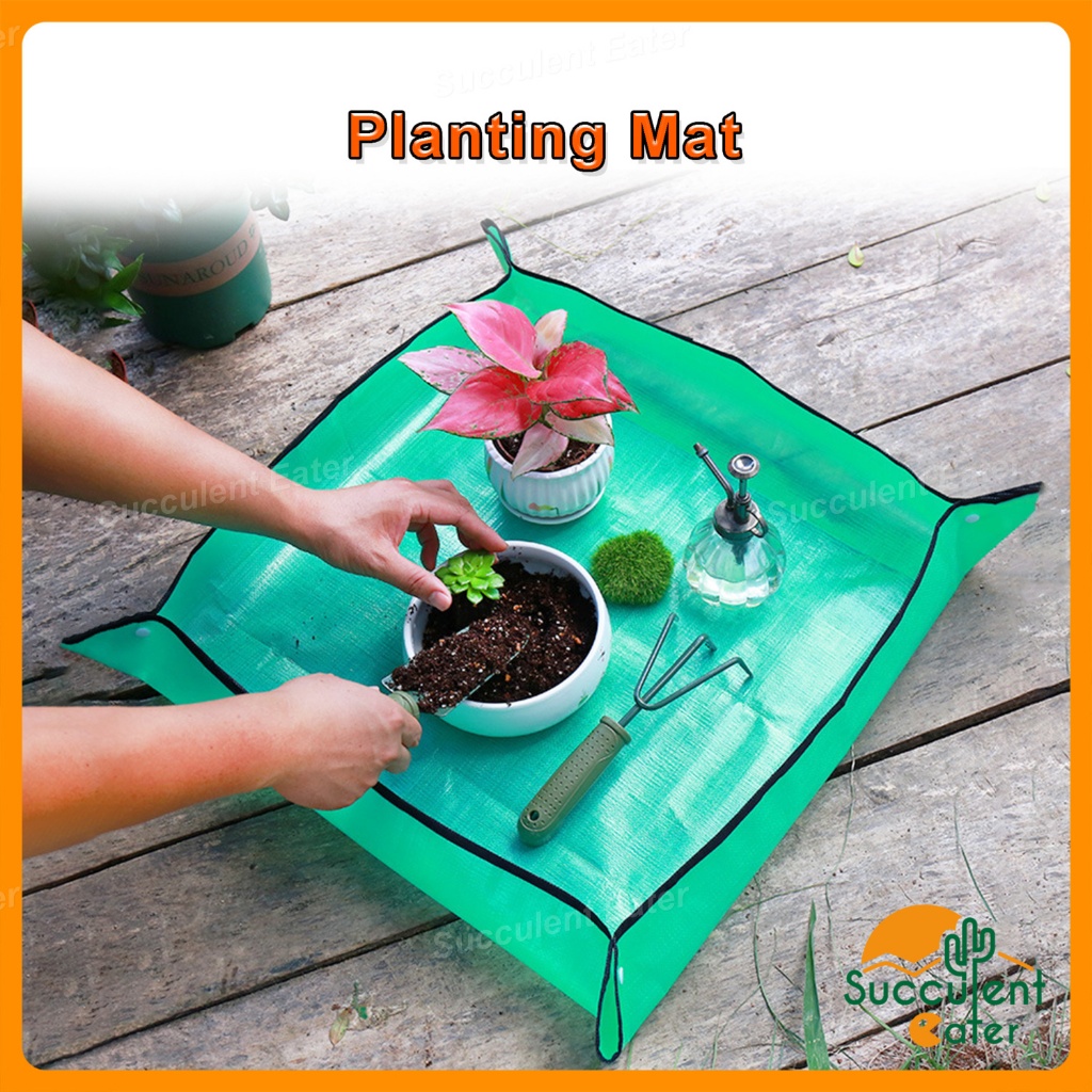 Planting Mat Waterproof Repotting Transplanting Succulent Cactus 园艺垫 ...