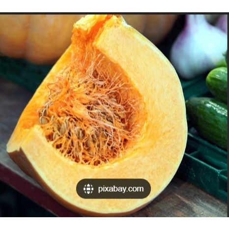 LABU MANIS PUMPKIN SEGAR | Shopee Malaysia