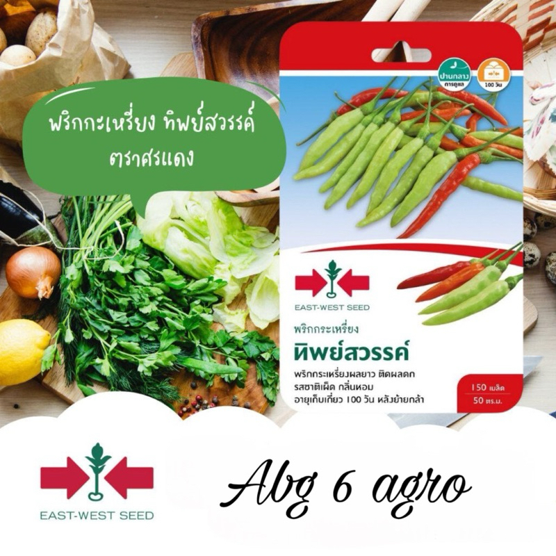 150Biji Benih Cili Kampung Hot Pepper 🌶️ Karen / Cili Padi Pedas / Lada ...