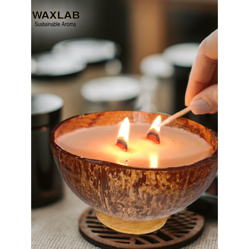 Premium Scented Candles in Coconut shell (160)(With Free Plantable ...