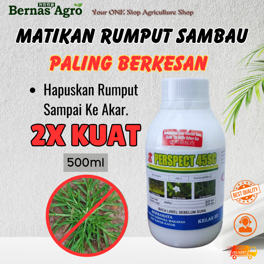Perspect 500ml Racun Rumput Paling Berkesan Sambau Degil Darat Cepat Mati Tahan Lama Racun ...