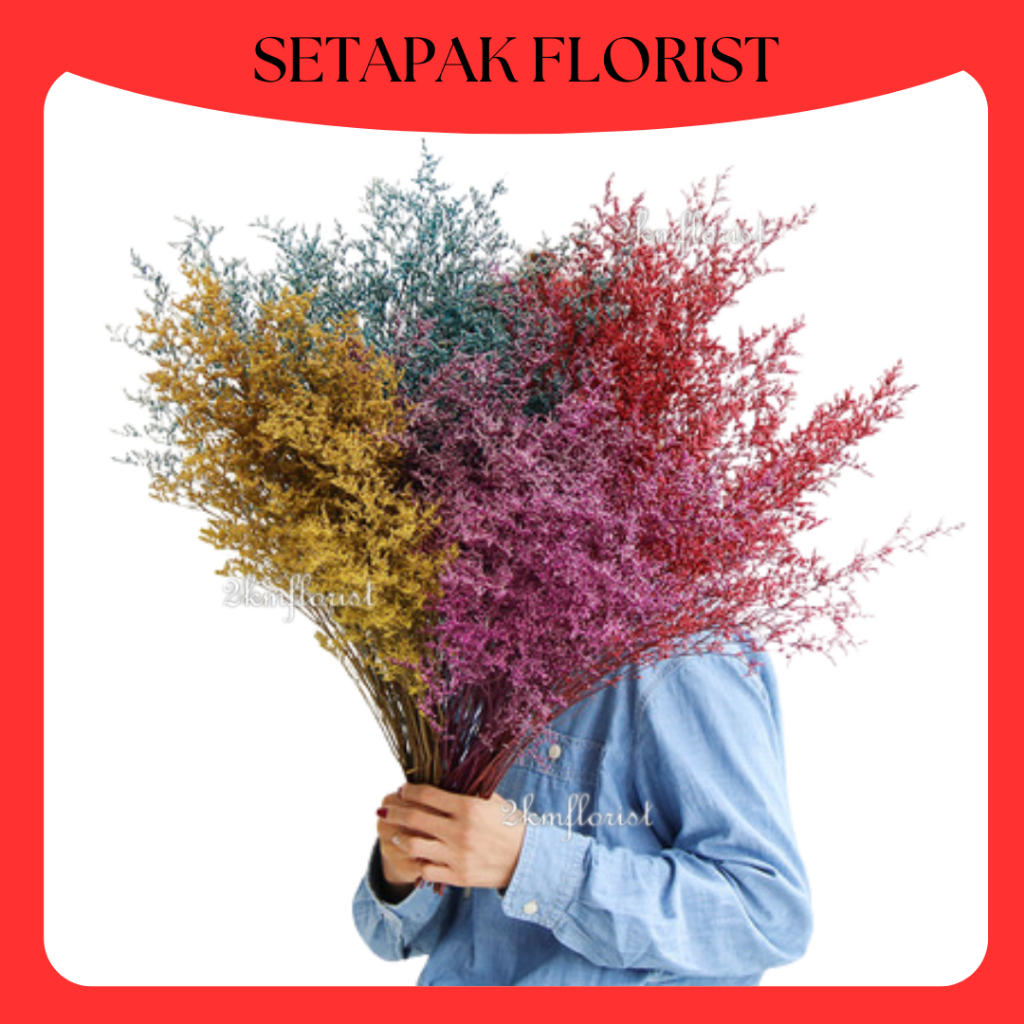 (60G) CASPIA Limonium Dried Dry Preserved Artificial Flower Bouquet ...