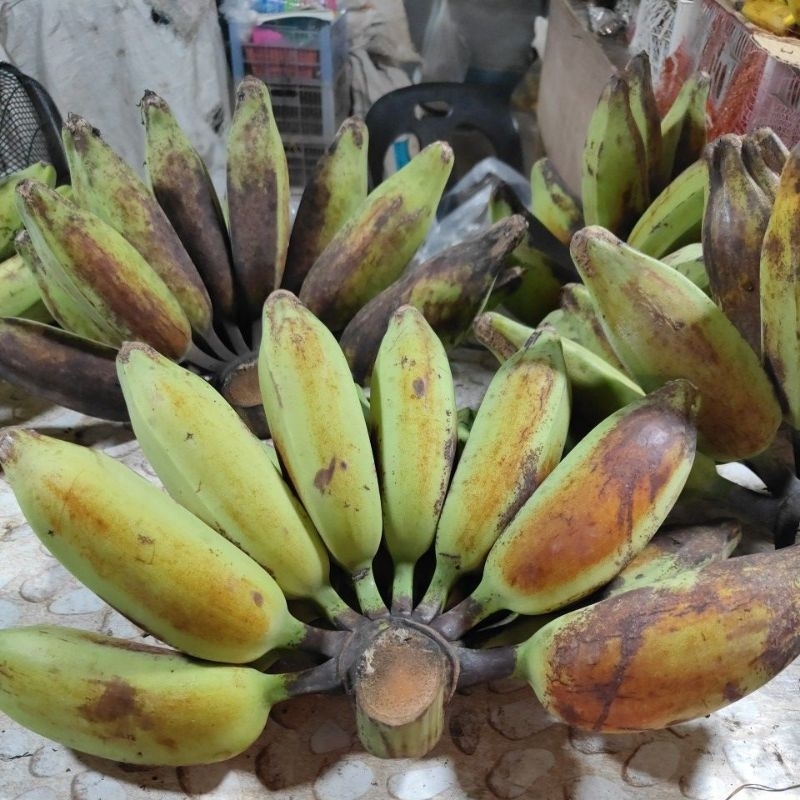 PISANG KEBATU KUNING@PISANG ABU NIPAH 1 KG | Shopee Malaysia