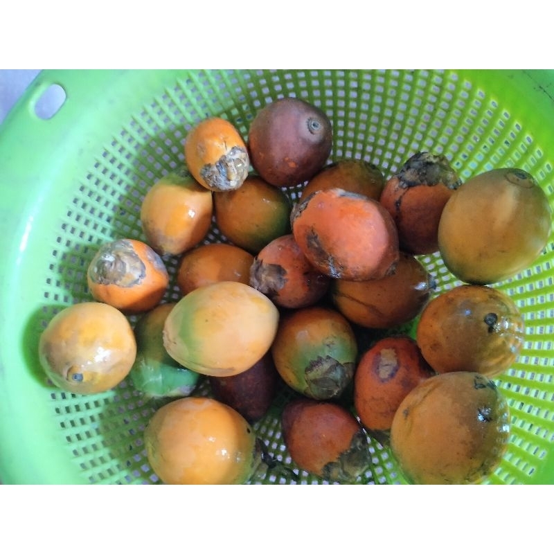 Buah Pinang masak Kuning 500gram | Shopee Malaysia