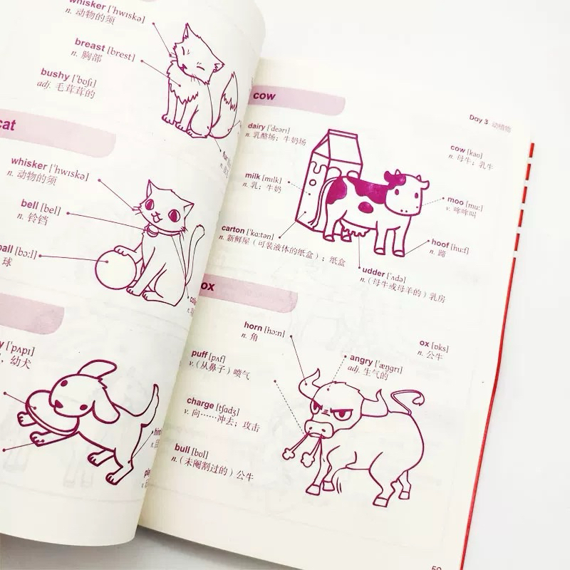 Vocabulary book 3000 words 英文单词 English book for beginners English book ...