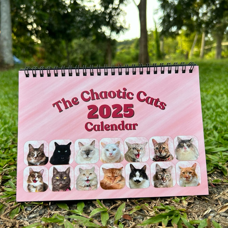 The Chaotic Cats 2025 Calendar | Shopee Malaysia