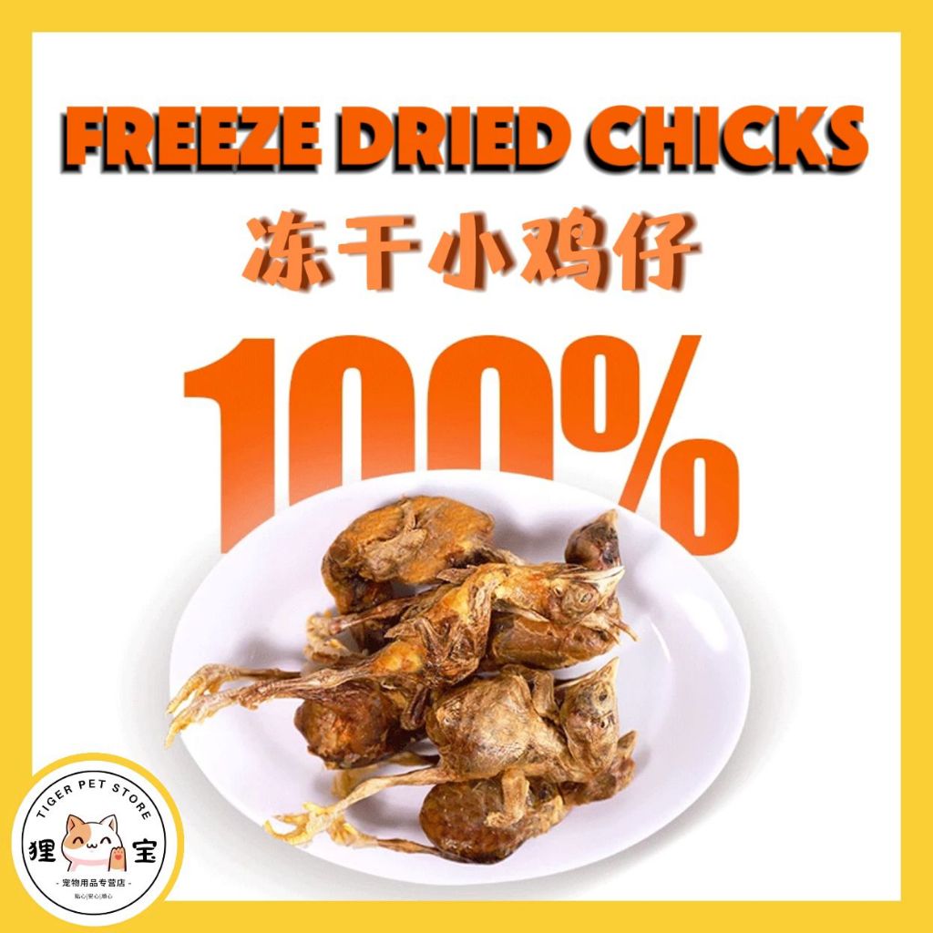 Premium Freeze-Dried Chicks For Pets Cat Dog Gemuk Booster Protein Anak ...