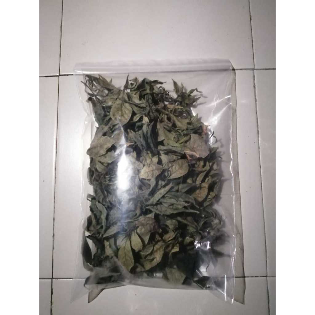 Daun Pecah Beling Kering (1 kg) | Shopee Malaysia