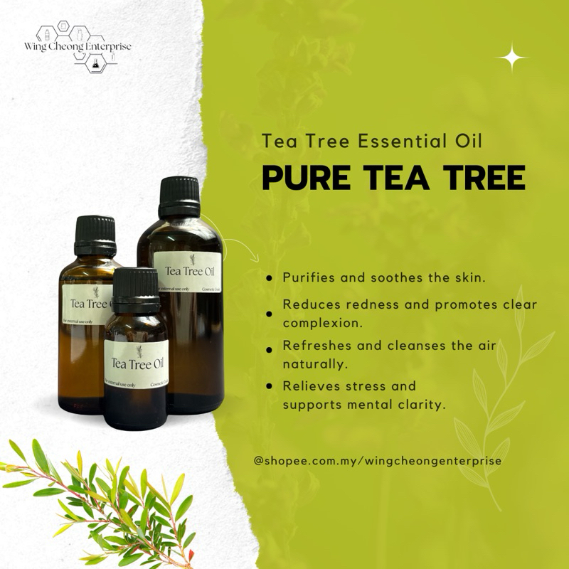Pure Tea Tree Essential Oil – Minyak Pati Daun Teh – 茶树精油 untuk Jerawat ...