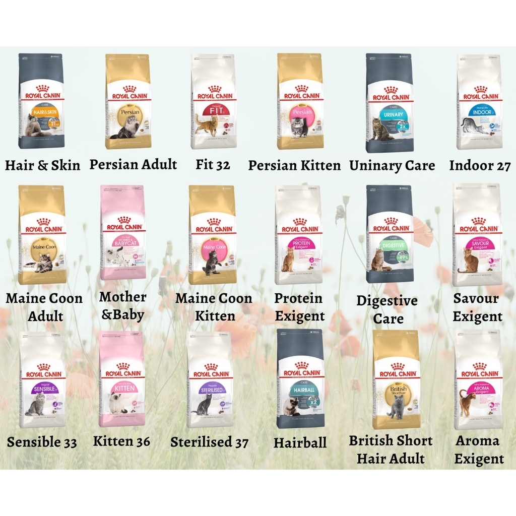 Royal Canin Hair and Skin / Fit32 / Mother And Babycat / Kitten ...