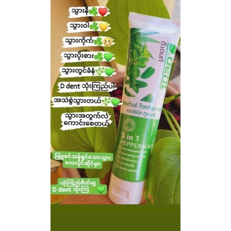 D.Dent Herbal Toothpaste 5 in 1 peppermint 100g | Shopee Malaysia
