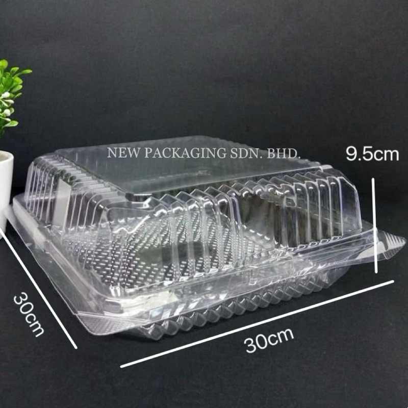 BX-125 10-Inch Square Cake Tray [10pcs] - Disposable Plastic Cake Box ...