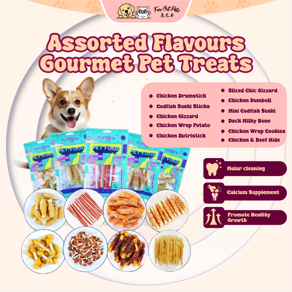 Funny U Colorful Snack Bag - Gourmet Pet Treats for Dental Health and ...