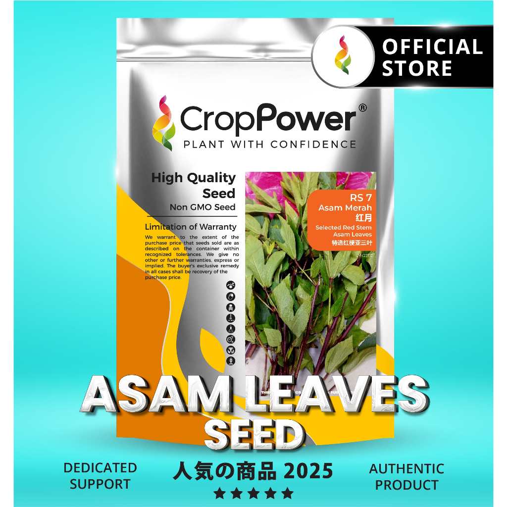 (500 GRAM) Biji Benih Daun Asam Merah 红月 RS7 CROP POWER Red Stem Asam ...