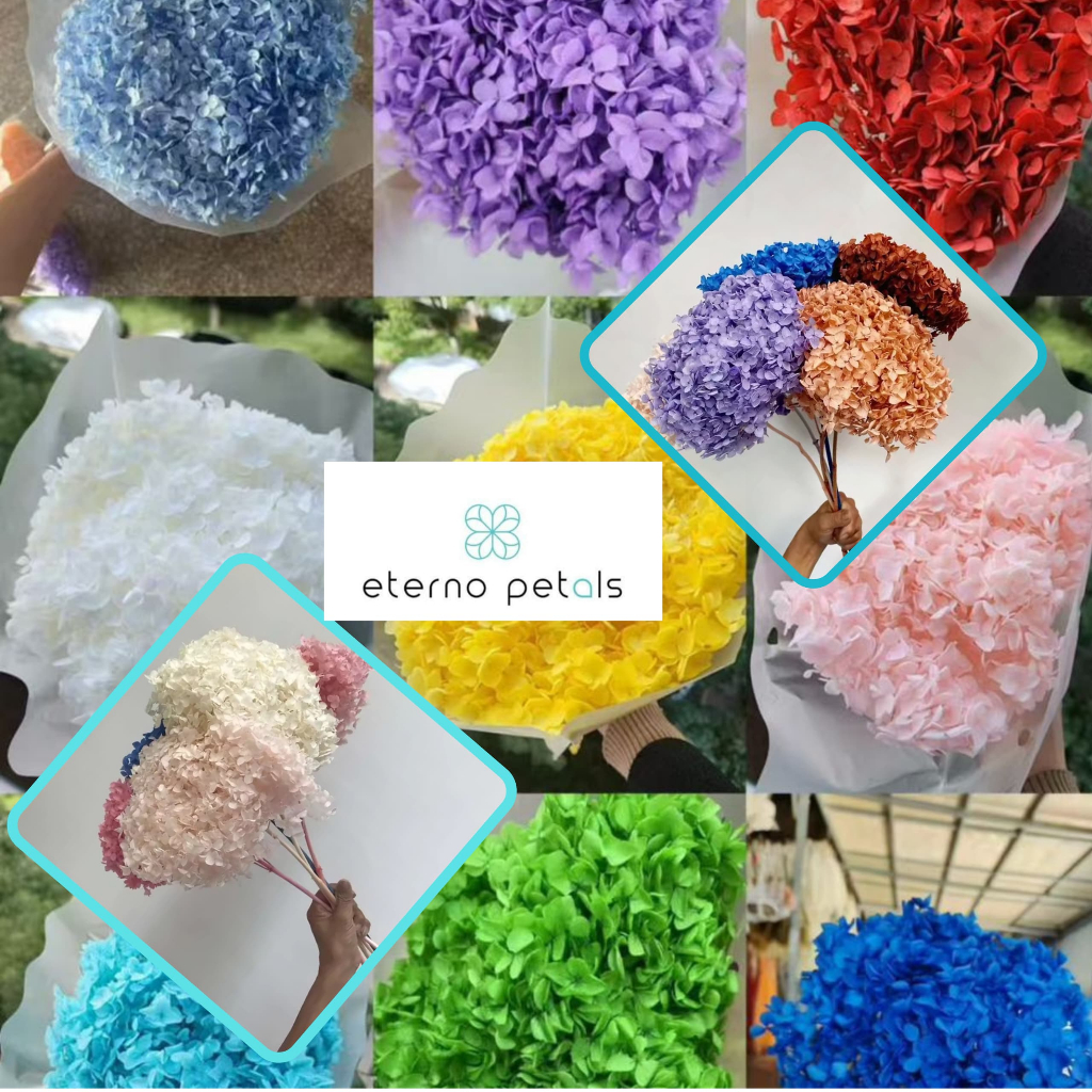 Preserved Hydrangea Flower Ball/Anna Hydrangea Decor DIY Flowers ...