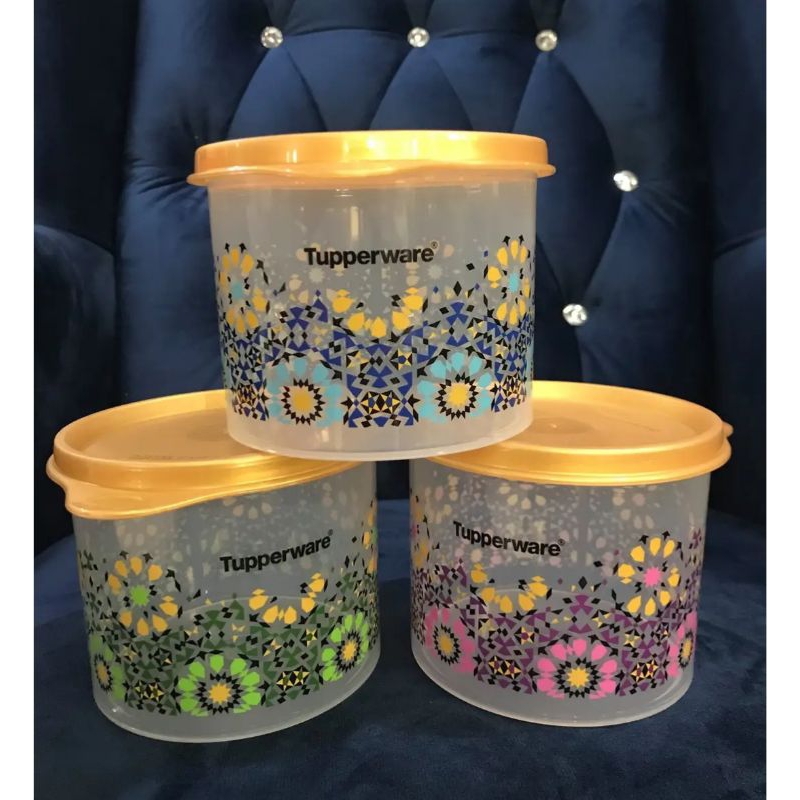 TUPPERWARE Balik Kampung 570ml ( 1 piece) | Shopee Malaysia