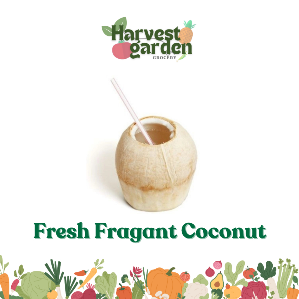 Fragant Coconut Water // 香甜可口椰水 1PCS | Shopee Malaysia