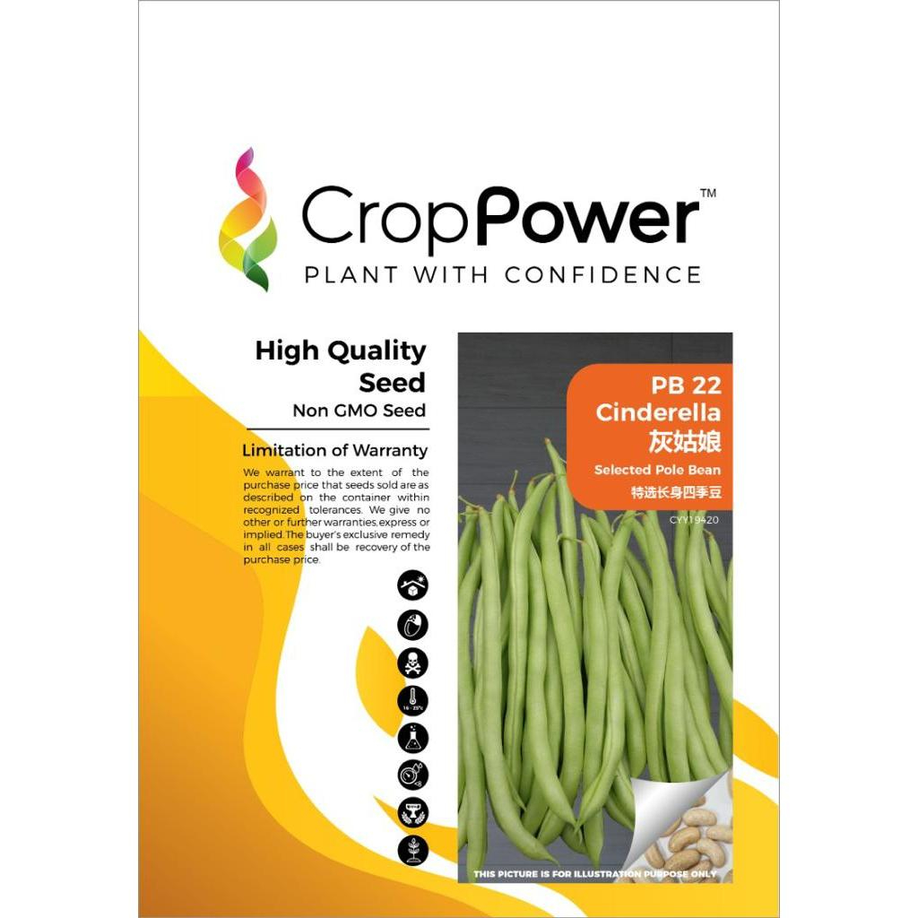 CROP POWER SEEDS PB 22 Selected Pole Bean | Shopee Malaysia