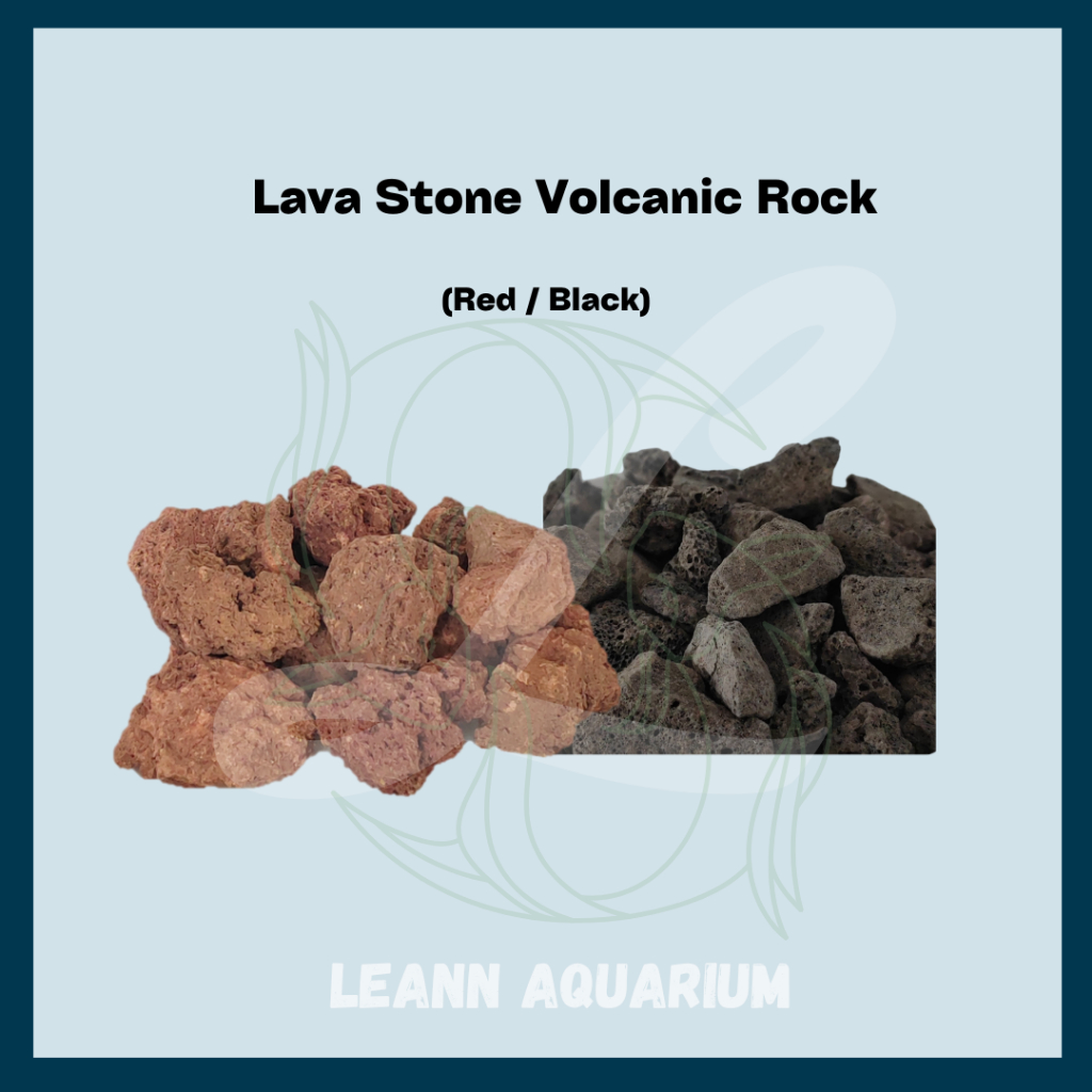 🔥HOT🔥 Red Lava Stone Volcanic Rock for Aquarium Filter Media | Shopee ...