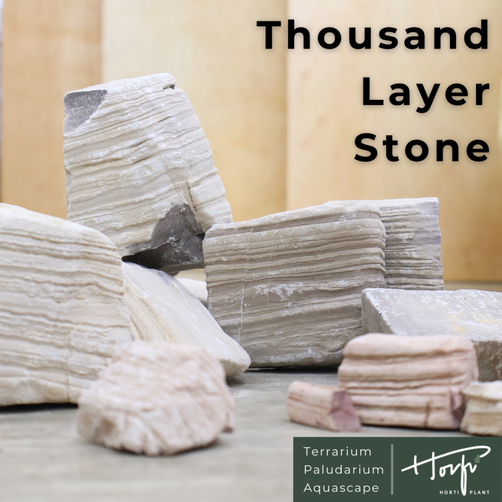 [Horti] Thousand Layer Stone – Aquascape, Terrarium, Paludarium ...