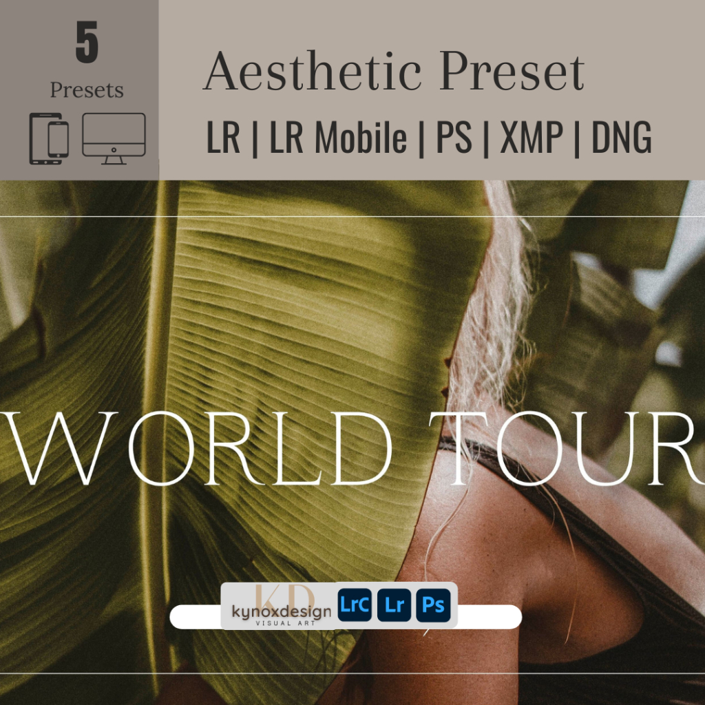 [Lightroom Preset] Aesthetic Preset - World Tour for LR/LR(mobile)/PS ...