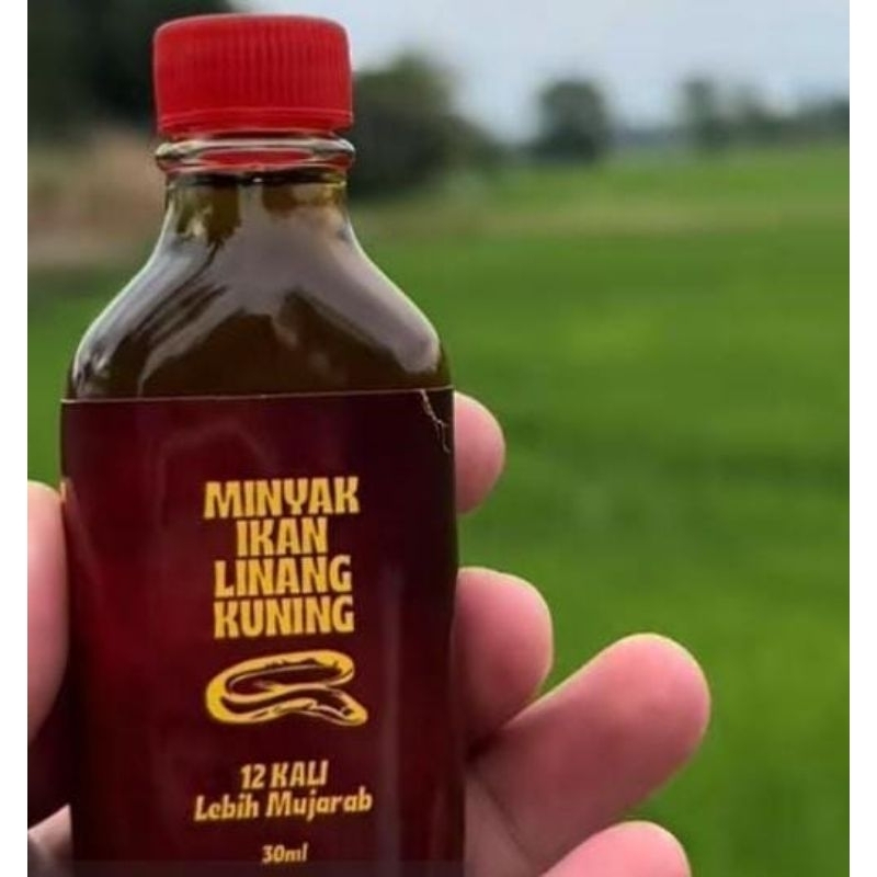 💥Minyak Urut Ikan Linang Kuning 30ml💥 Ramuan Pati Linang Emas Herba ...