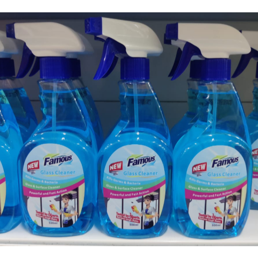 FAMOUS Glass Surface Cleaner Spray (500ml) | Shopee Malaysia