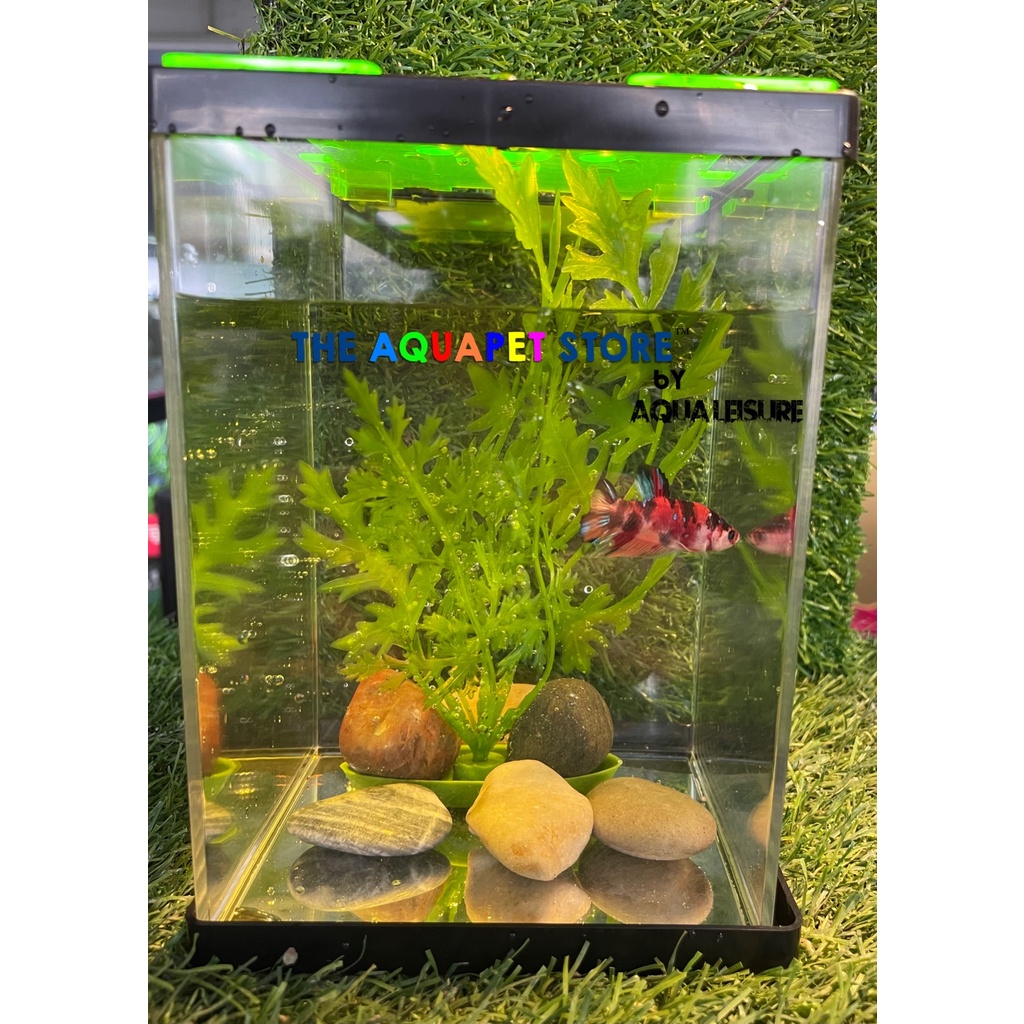 (READYSTOCK) BETTA TANK AQUARIUM IKAN LAGA AKUARIUM | Shopee Malaysia