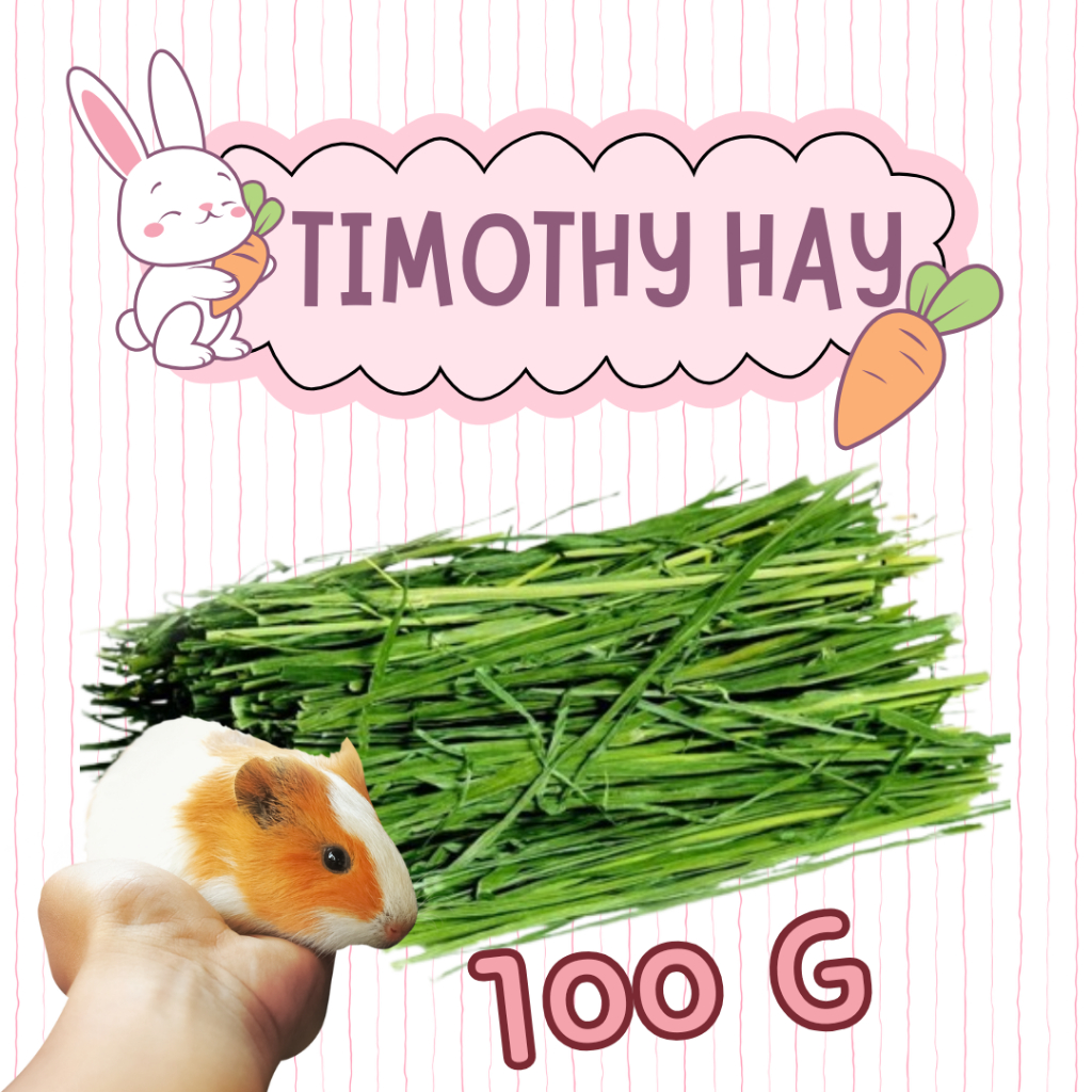 TIMOTHY HAY 100g Rabbit / Guinea pig Jerami Timothy Hay/Premium dried Timothy Hay | Shopee Malaysia
