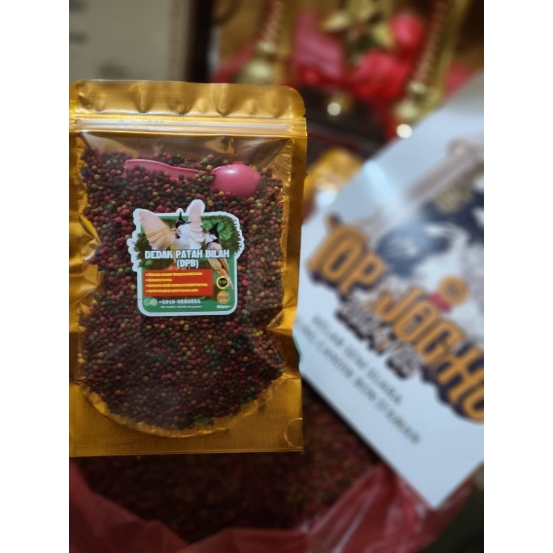 Dedak Patah Bilah viral 2024/ Merbah Jambul,/ Merbah Lekir/ Murai ...