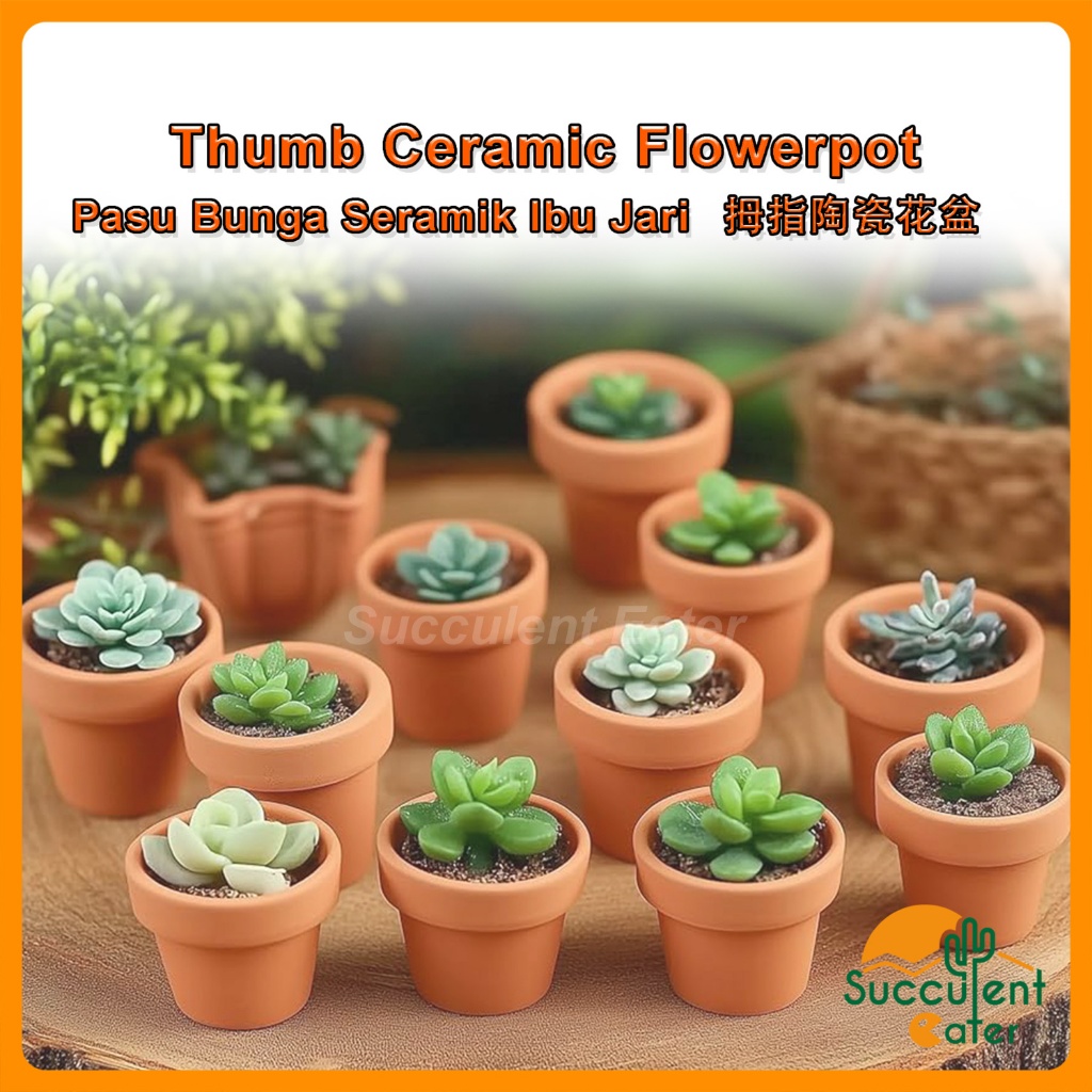 Mini Thumb Size Terracotta Pot Ceramic Pasu Ceramik Ibu Jari Red ...