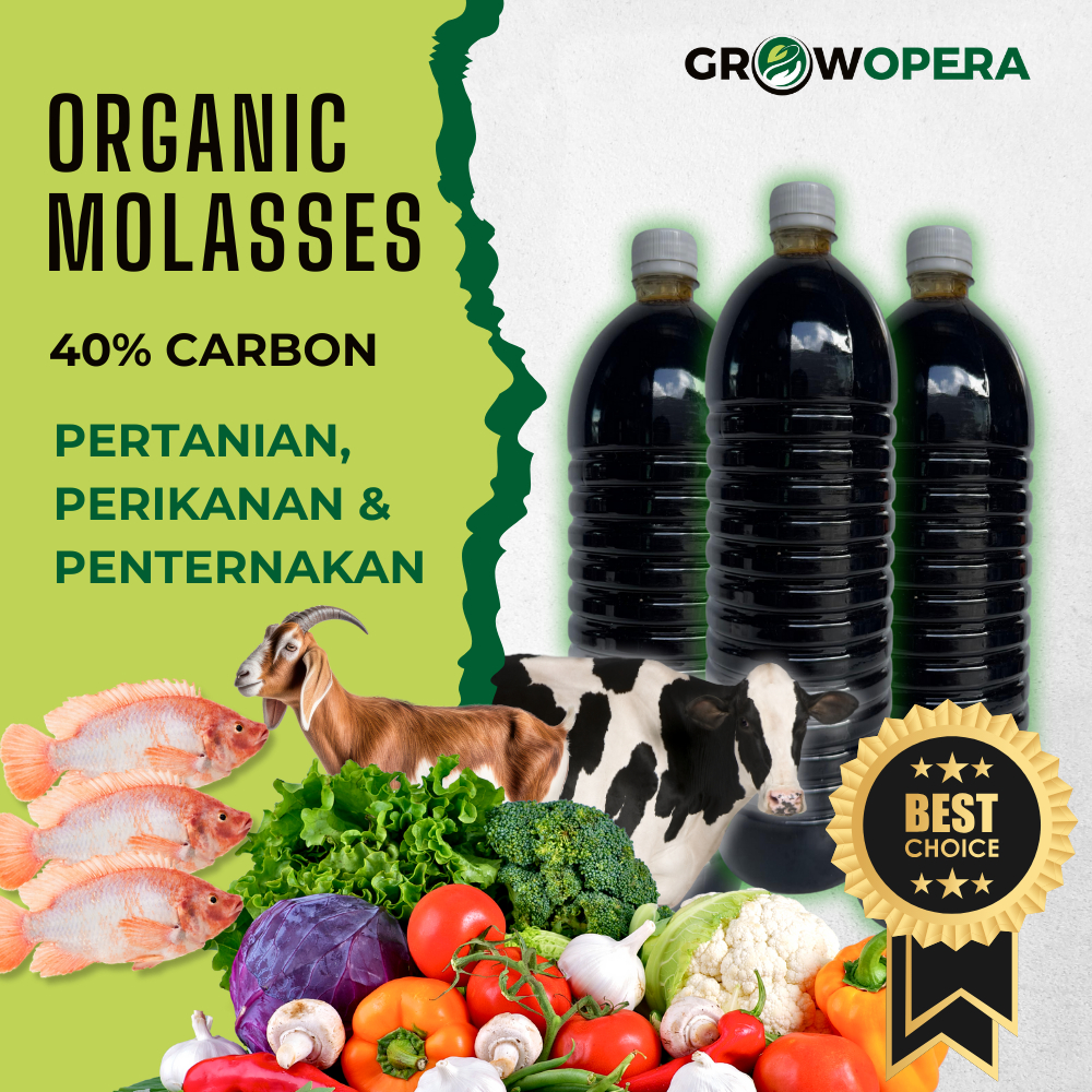 molasses - Prices and Promotions - Jun 2026 | Shopee Malaysia