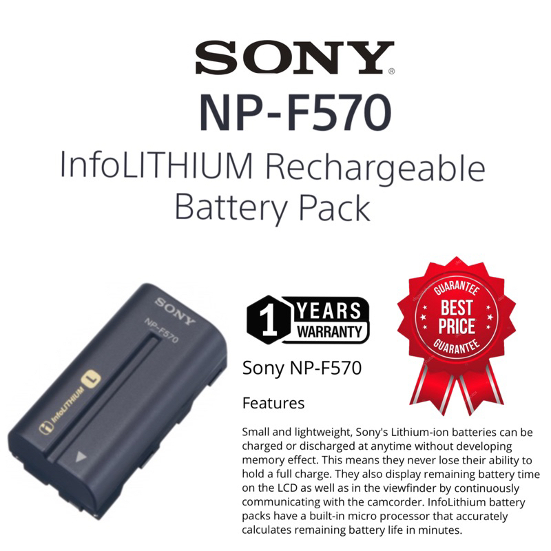 Sony NP-FP570 InfoLithium Rechargeable Battery Pack 2200 Mah (1 years ...