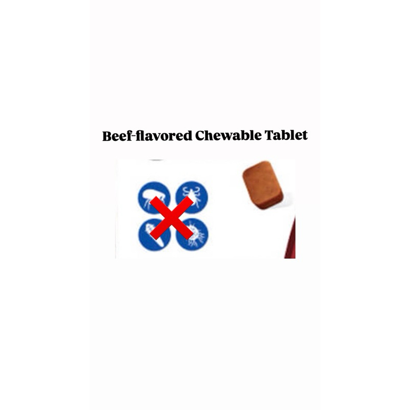 Beef Flavored Chewable Tablet | Shopee Malaysia