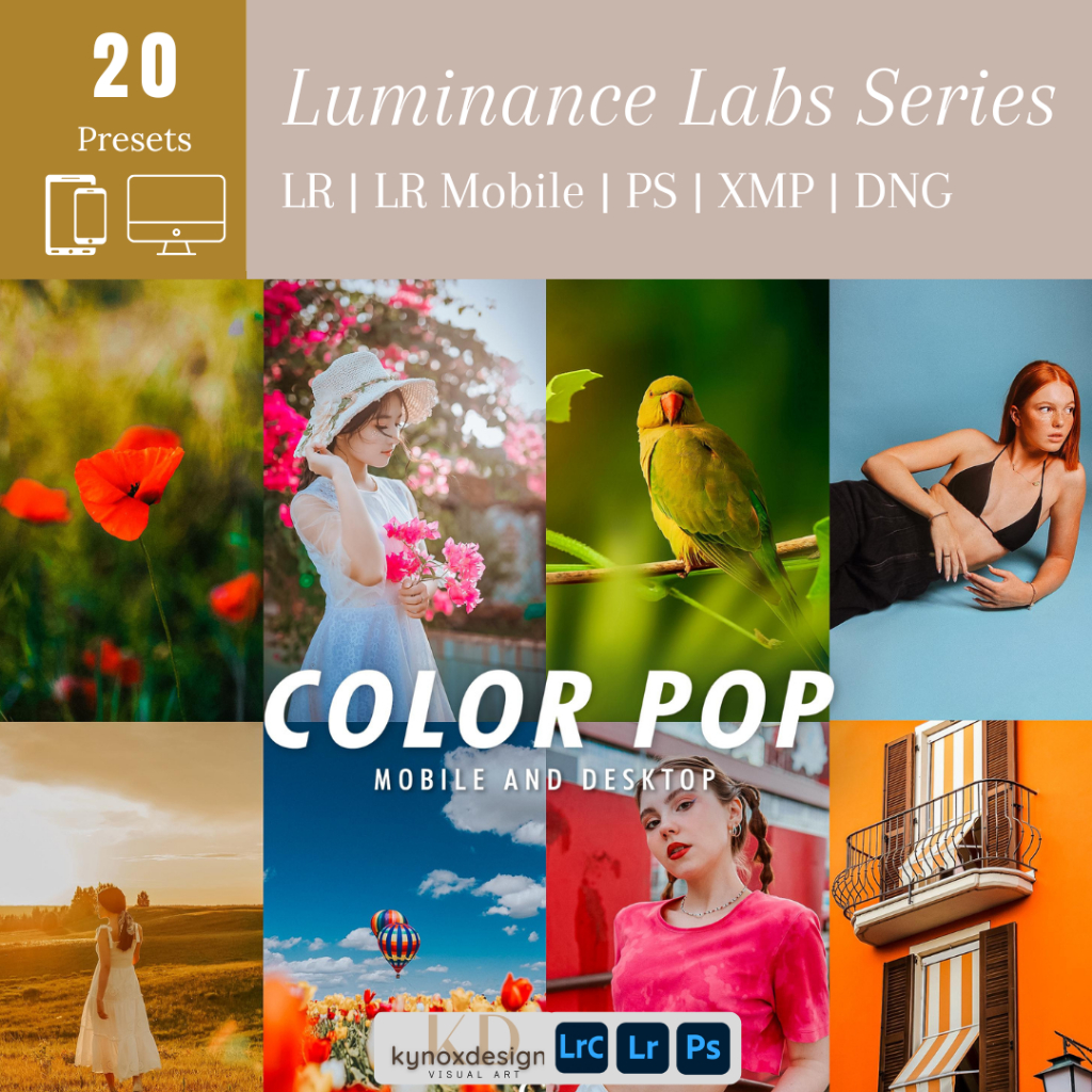 [Lightroom Preset] Luminance Labs Series - Color Pop for LR/LR(mobile ...