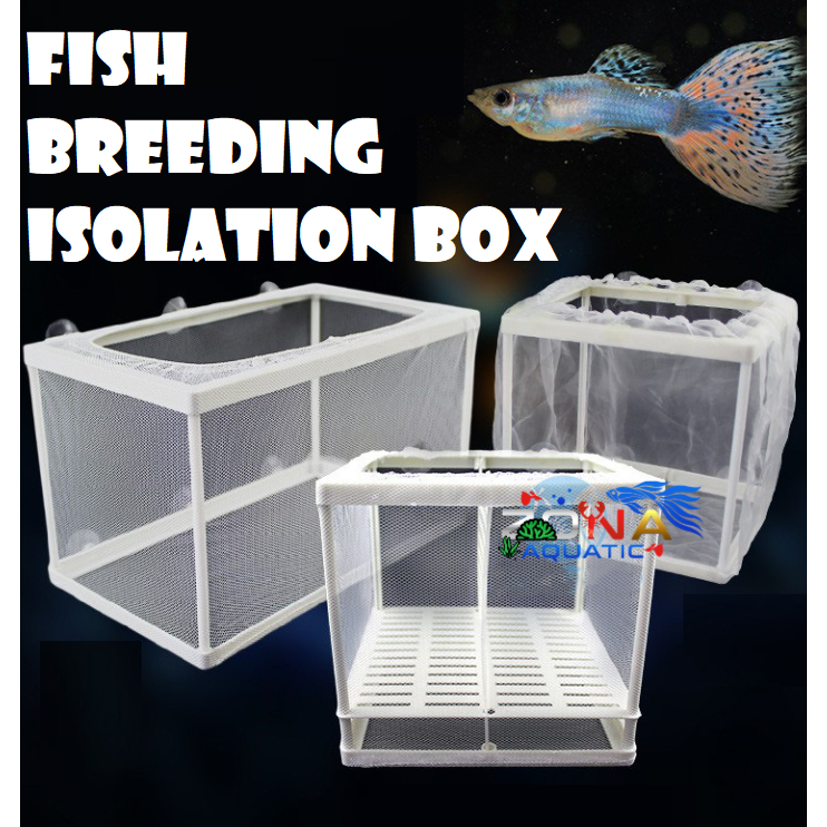 READY STOCK | AQUARIUM FISH BREEDER BOX | FISH ISOLATION BOX | FISH ...