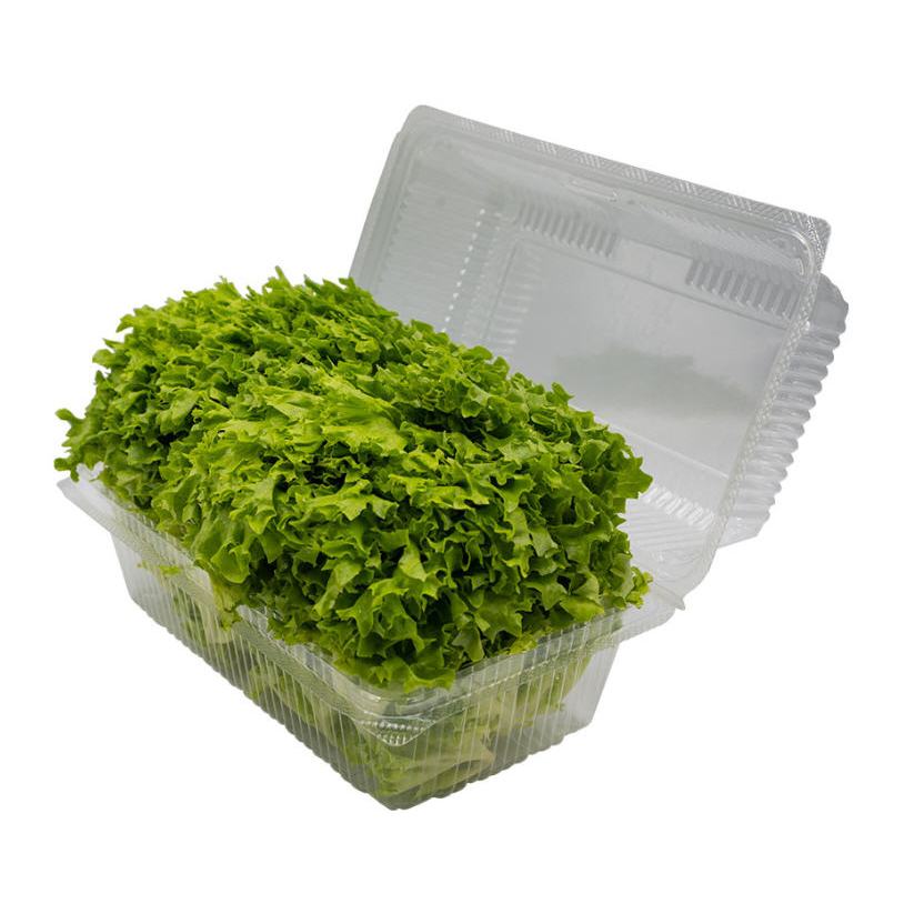 CLAMSHELL TRANSPARENT/CLEAR/FRUITS/VEGETABLES/LETTUCE CLAMSHELL ...