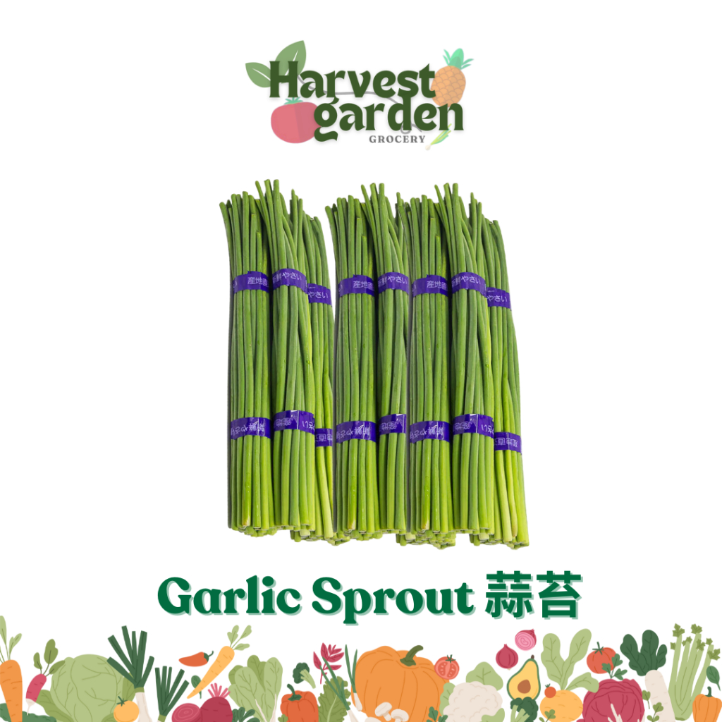 Fresh Garlic Sprout 新鲜蒜苔 / 蒜苗 150G+/- | Shopee Malaysia