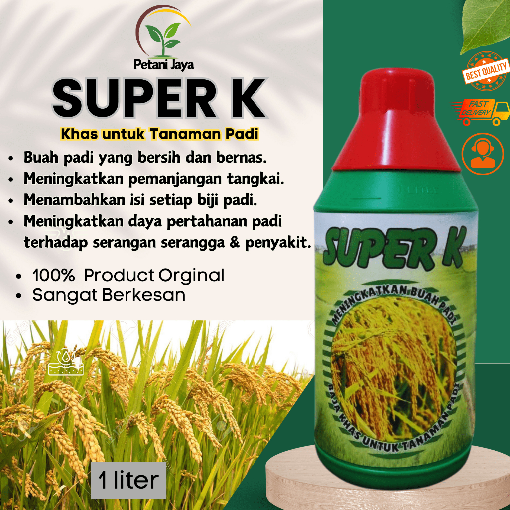 99 Super K Berat Buah Padi Bendang 99 SuperK Khas Untuk Tanaman Sawah ...