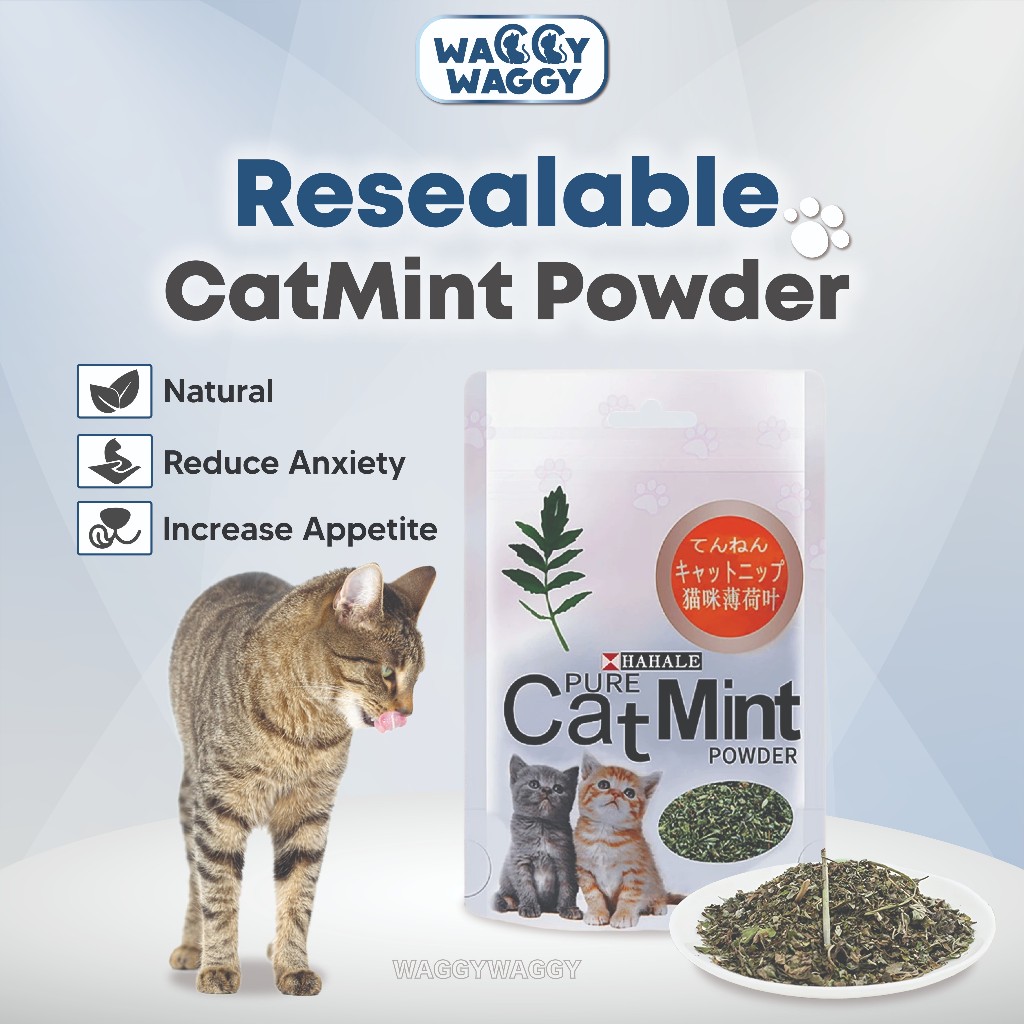 WaggyWaggy 5g Pure CatMint Powder Catnip Organic Cat Kitten Toys ...