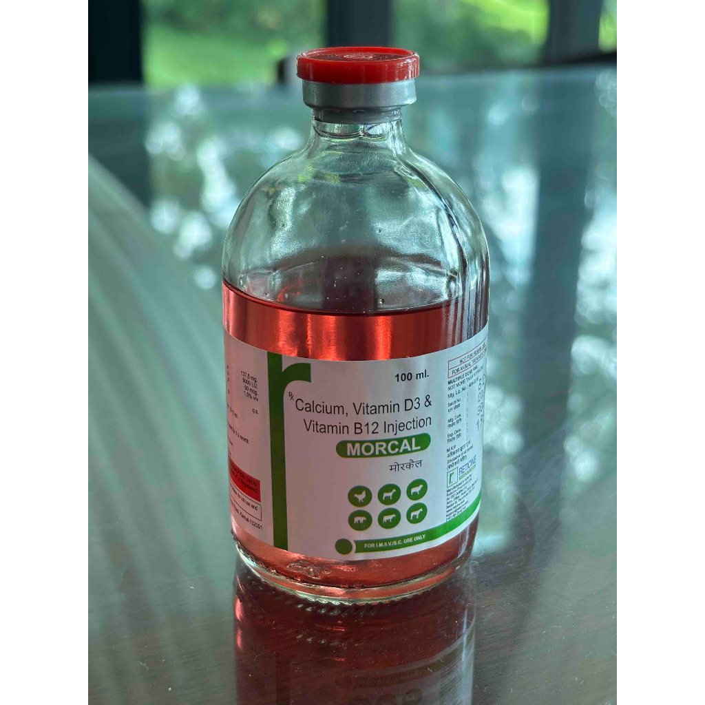 Calcium, Vitamin D3 & Vitamin B12 Injection supplement untuk ternakan ...