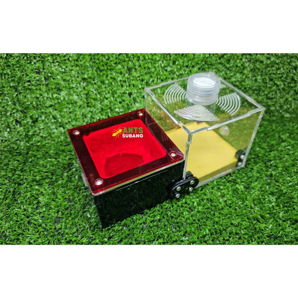 Ants Subang Modular Ant Nest (Customize) + Ant Colony | Shopee Malaysia