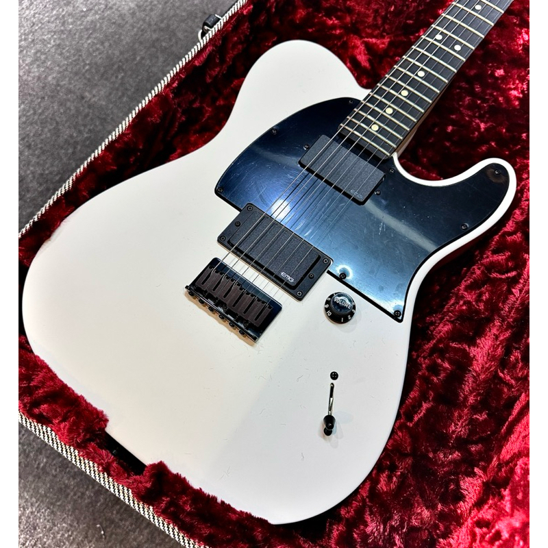 Fender Artist Jim Root Telecaster Guitar, Ebony Neck, Flat White ...