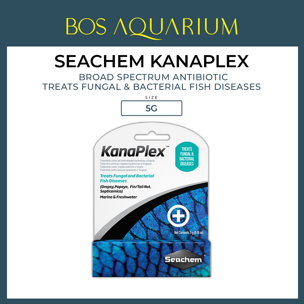 Seachem Kanaplex -Treat fish fungus and bacteria problem - plus ...