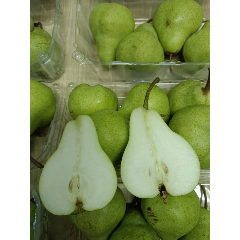 Fresh South Africa Packham Pear(1 pkt-750g) | Shopee Malaysia
