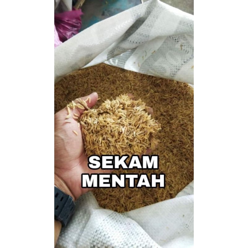 sekam mentah dalam guni | Shopee Malaysia