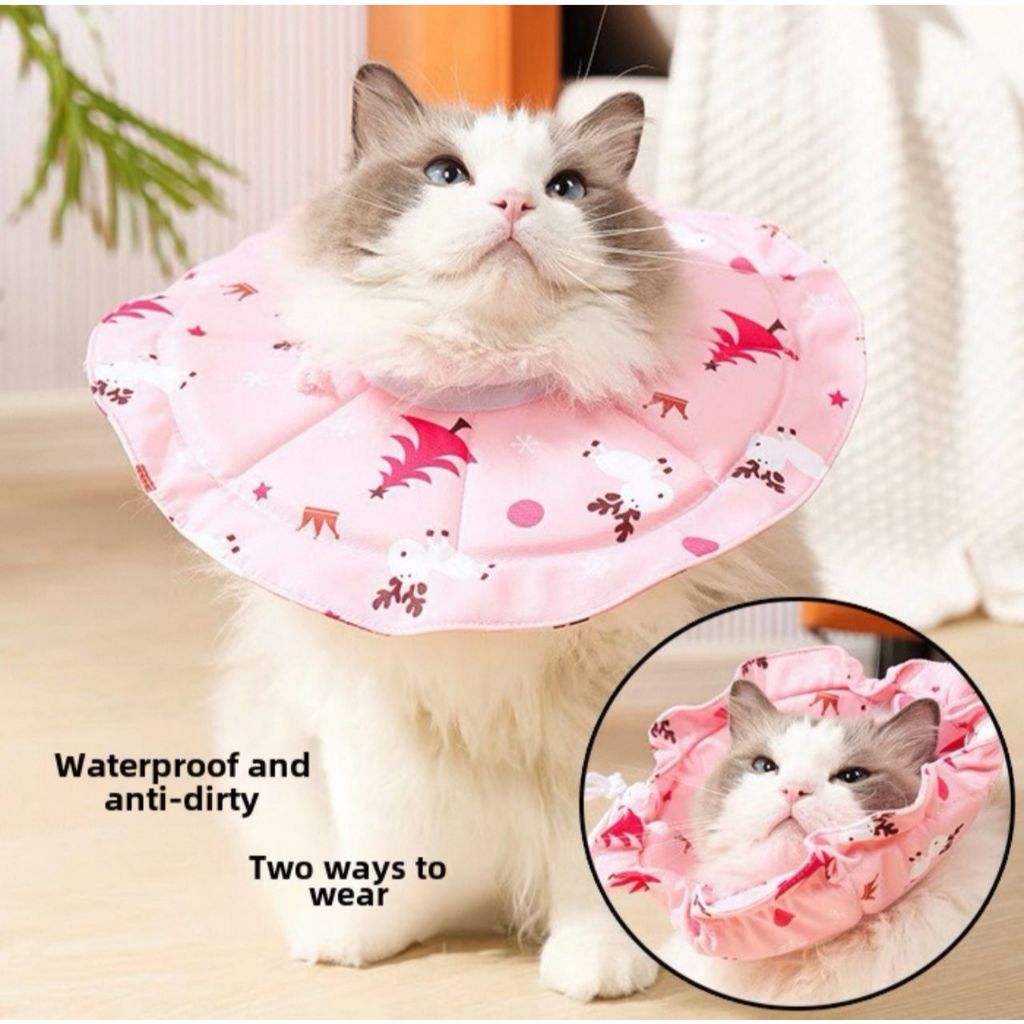 Adjustable Cat Recovery Collar Cone | Elizabethan Collar for Cats and ...