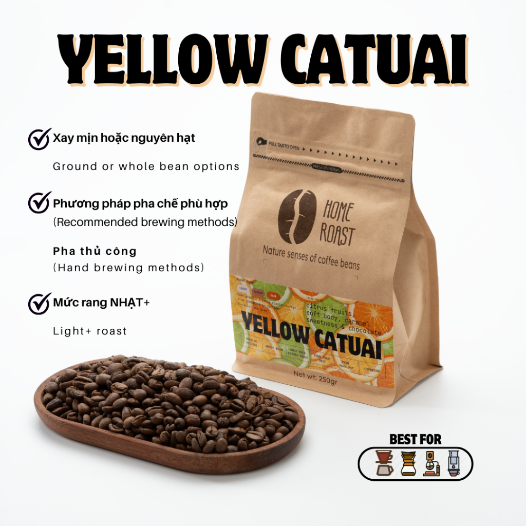Vietnamese Arabica Coffee [YELLOW CATUAI]-Origin Vietnam-Specialty ...