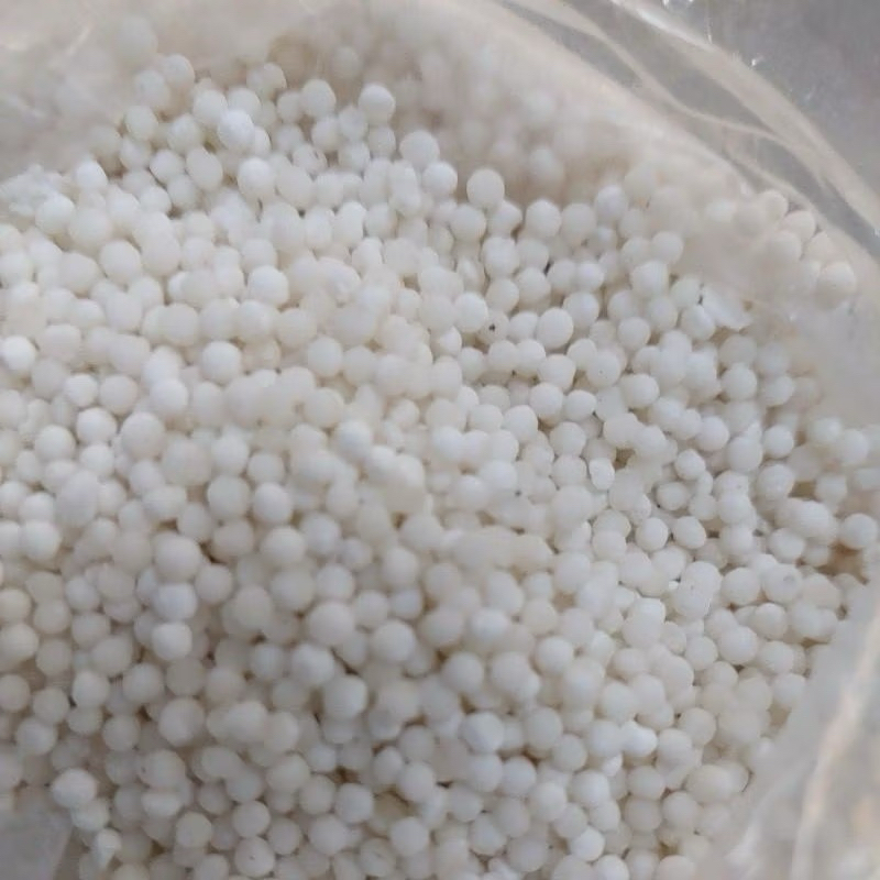 Seed Sago White (Small) 沙谷米 (小) Sago Kecil | Shopee Malaysia